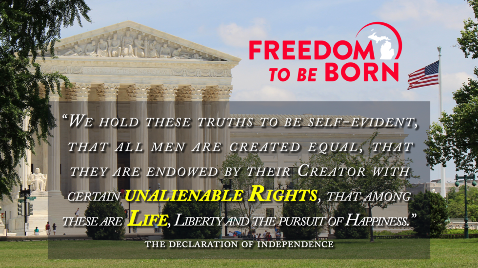 Home - Michigan Freedom Fund